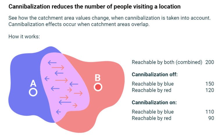 Introducing Cannibalization Analysis: Examine the Impact of Competitors ...